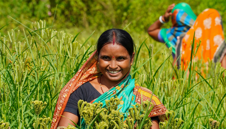Special Programme for promotion of millets under Odisha millet mission ...