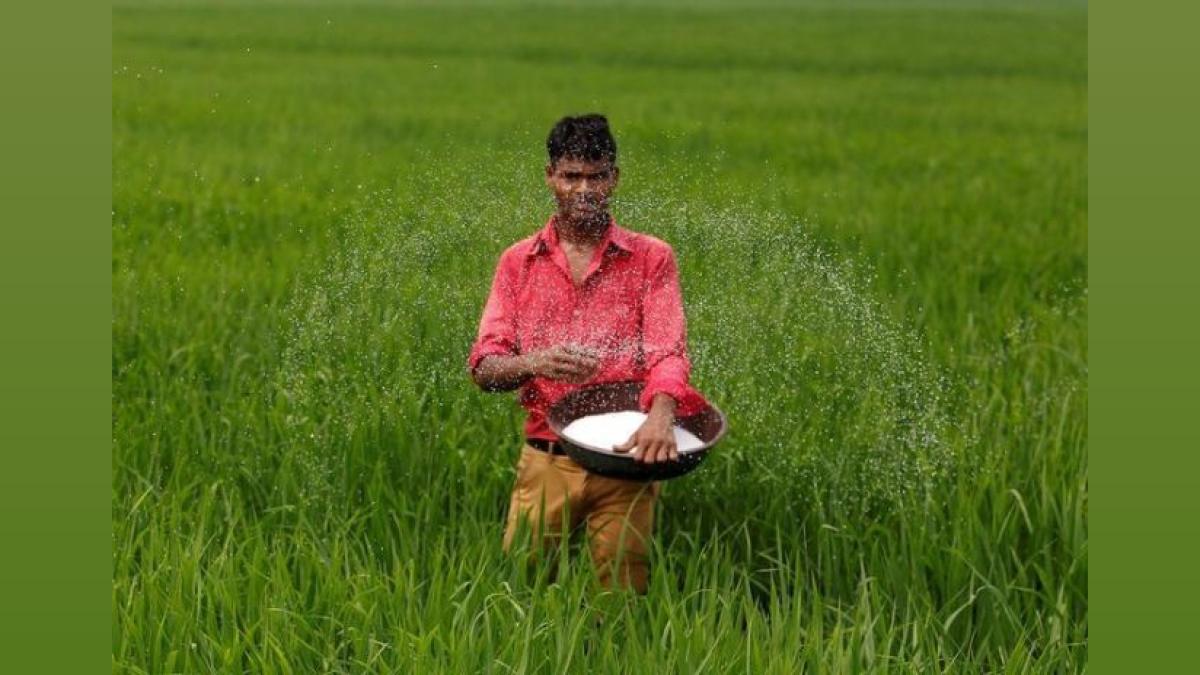 Govt Extends 2 crop Insurance Schemes till 2025-26